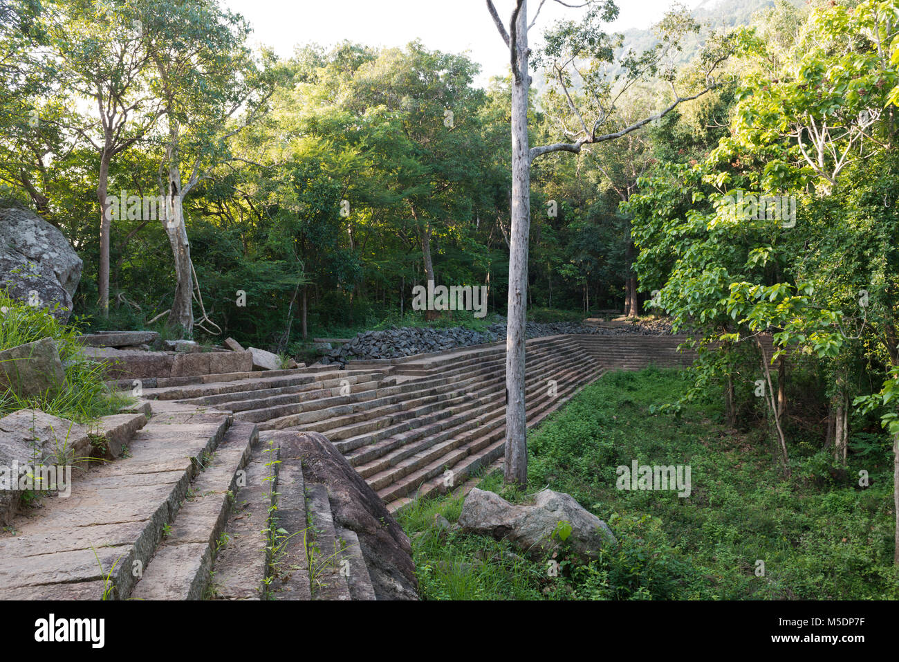 Sri Lanka, Region Sigiriya, Ritigala, Asia, Buddhist monastery, forest ...