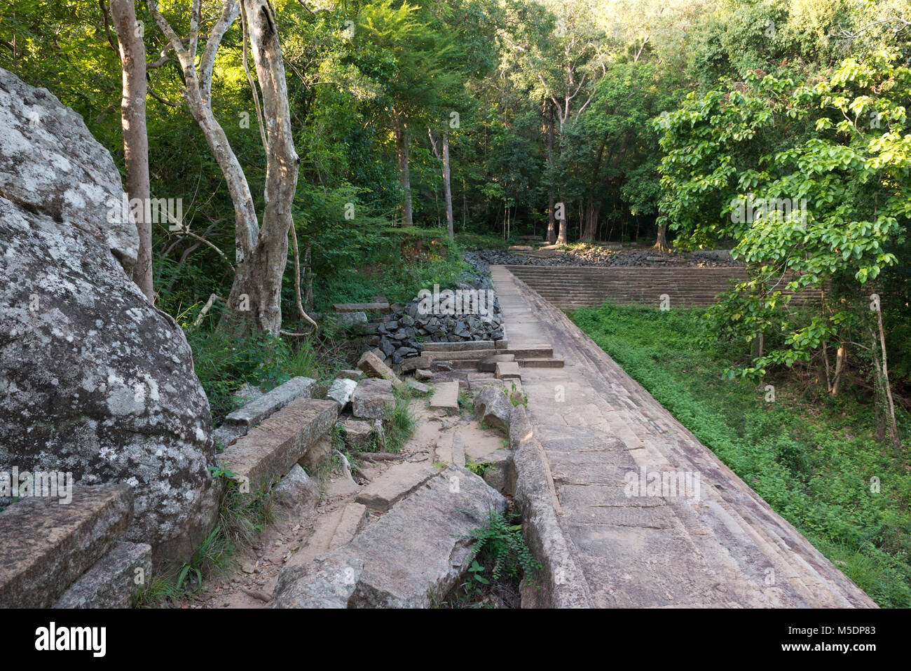 Sri Lanka, Region Sigiriya, Ritigala, Asia, Buddhist monastery, forest ...