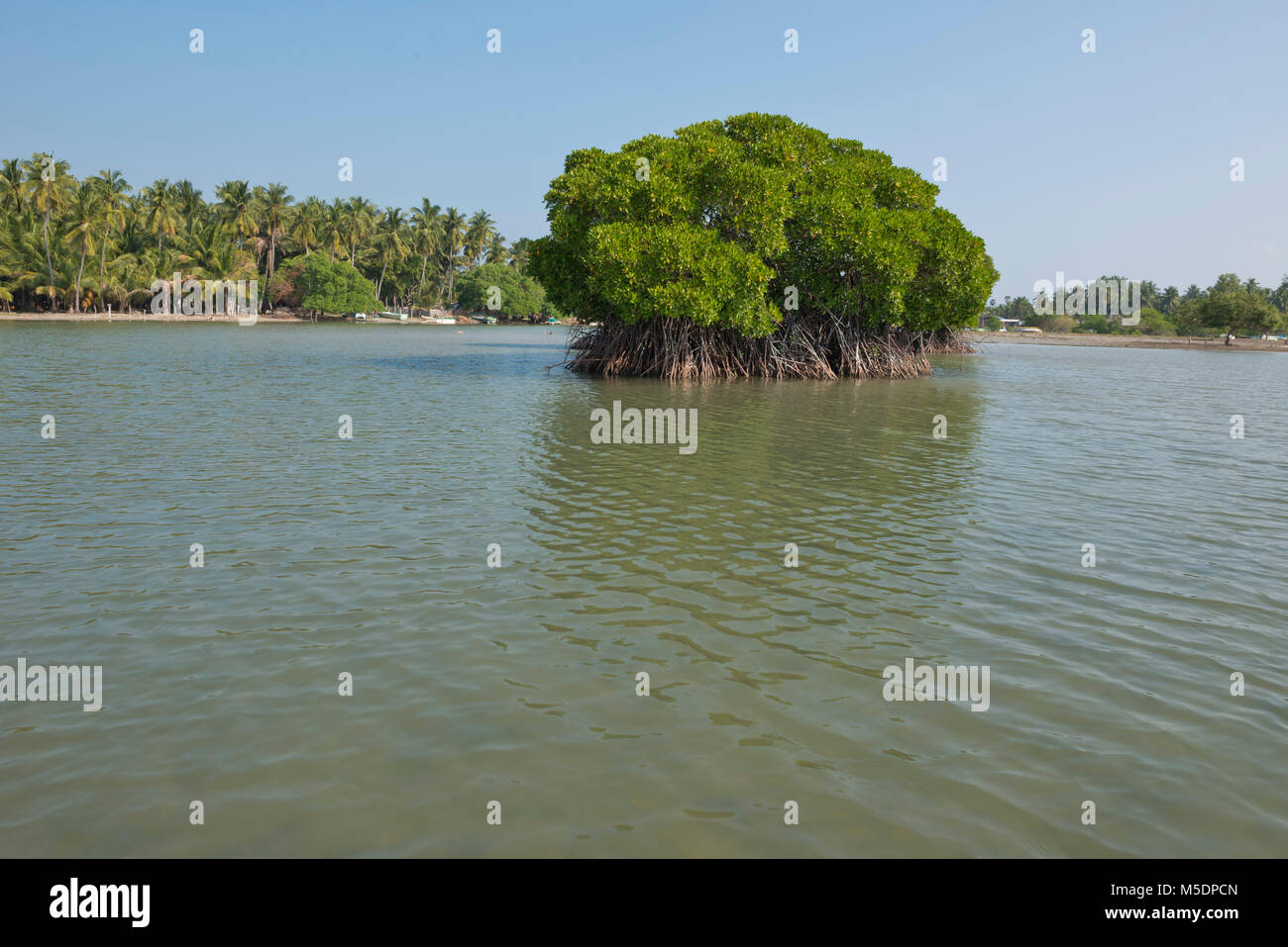 Sri Lanka, Trinquemalay, Trinquemale, Trincomal, Trincomalee, Asia ...