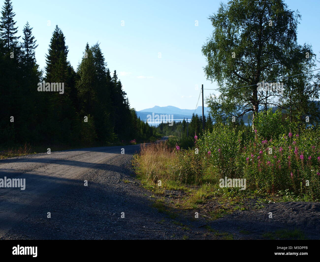 Swedish gravel road Stock Photo - Alamy