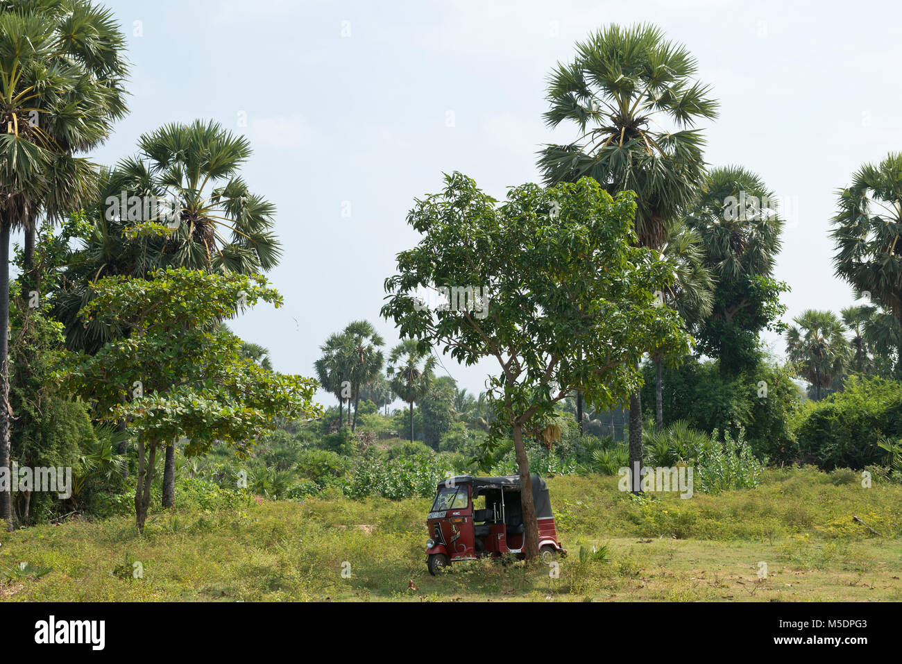 Sri Lanka, Trinquemalay, Trinquemale, Trincomal, Trincomalee, Asia ...