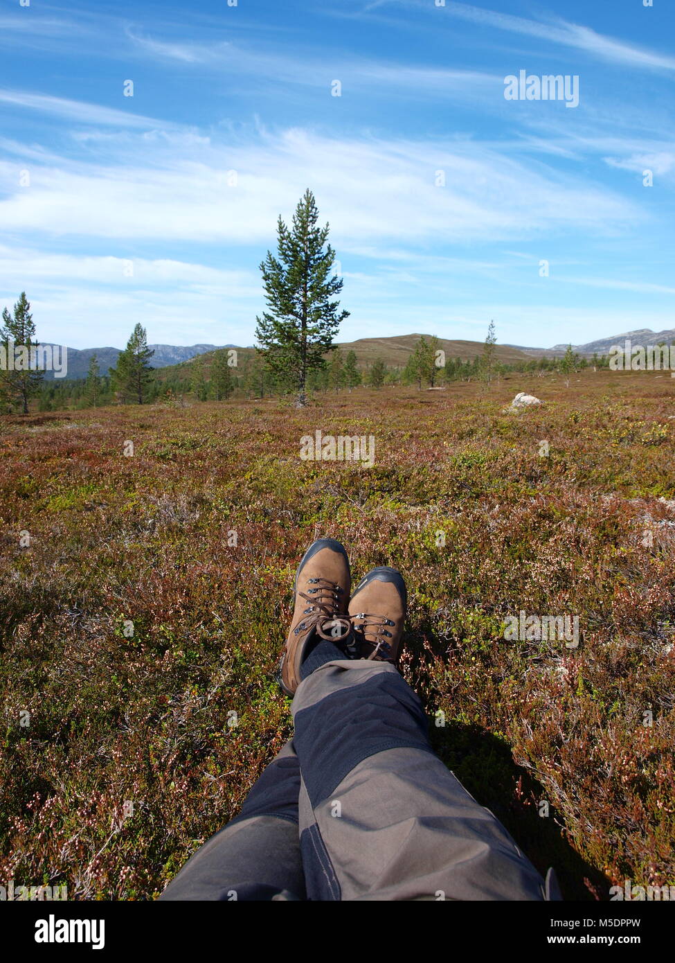 Resting in nature hi-res stock photography and images - Alamy