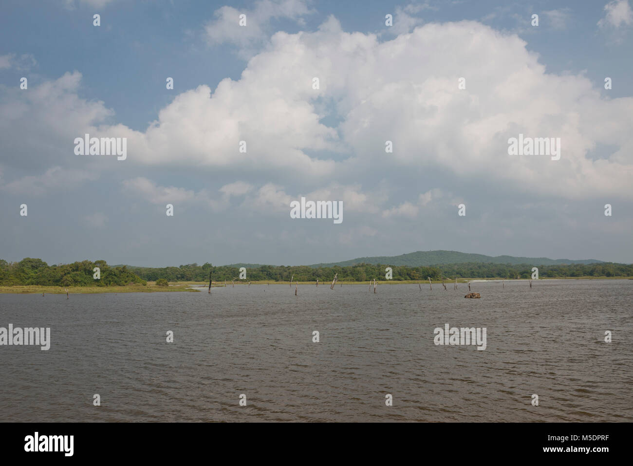 Trinquemale hi-res stock photography and images - Alamy