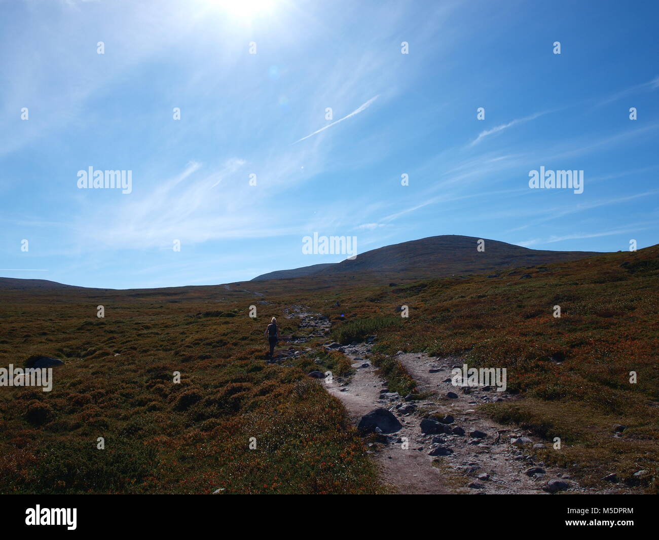 Swedish hike hi-res stock photography and images - Alamy