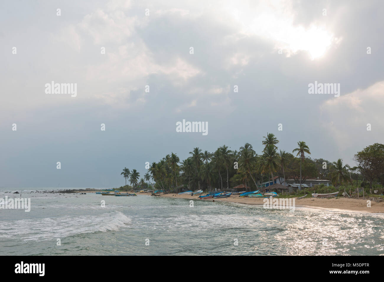 Sri Lanka, Point Pedro, Asia, beach, palmtree Stock Photo - Alamy