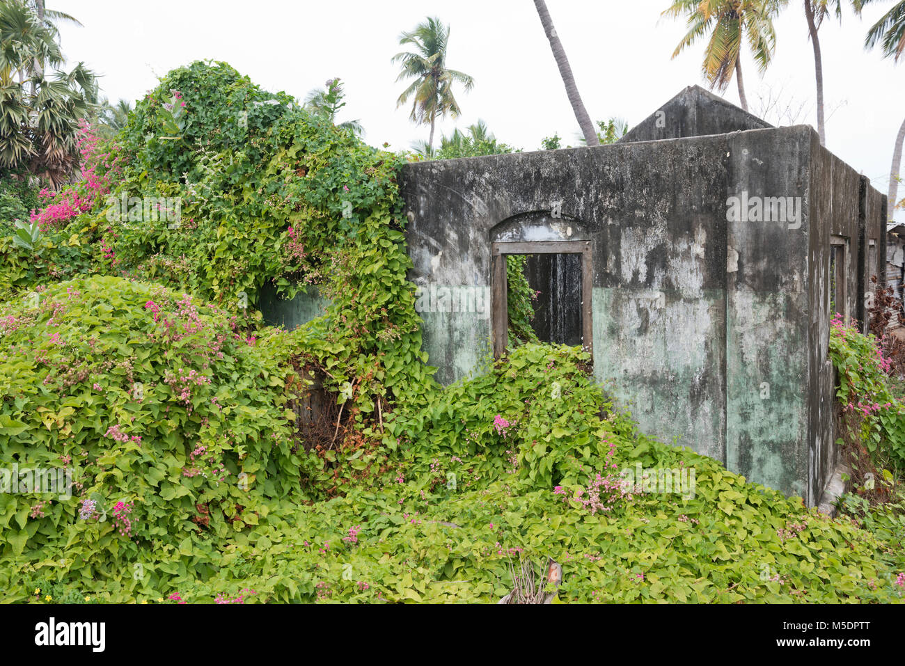 Sri Lanka, Point Pedro, Asia, temple, ruin Stock Photo - Alamy