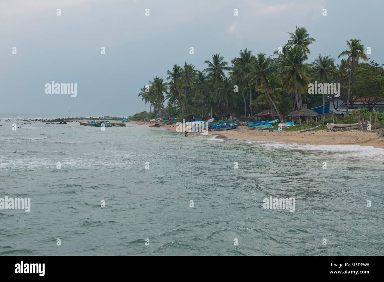 Sri Lanka, Point Pedro, Asia, beach, palmtree Stock Photo - Alamy