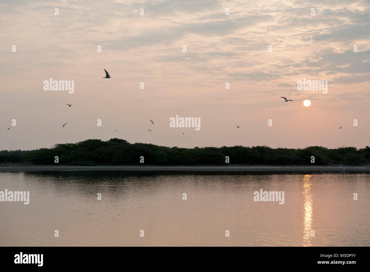 Sri Lanka, Talaimannar, Asia, sea, beach Stock Photo - Alamy