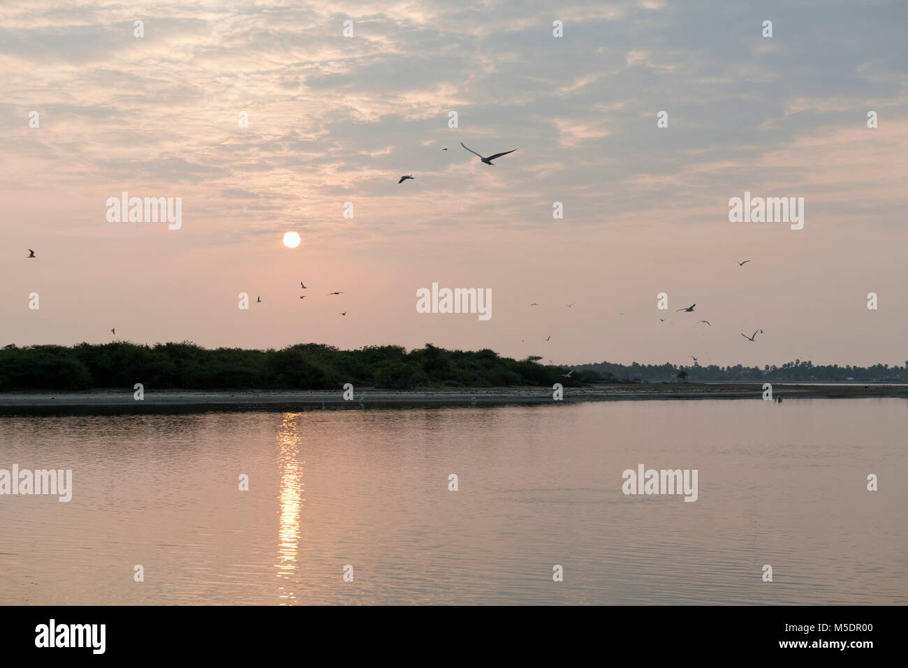 Sri Lanka, Talaimannar, Asia, sea, beach Stock Photo - Alamy