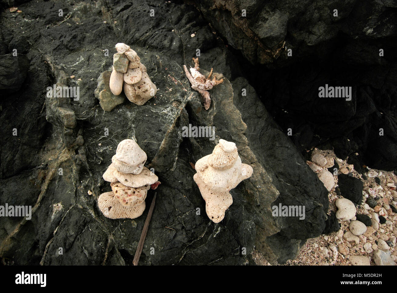 Stacked shells in Aruba Stock Photo - Alamy