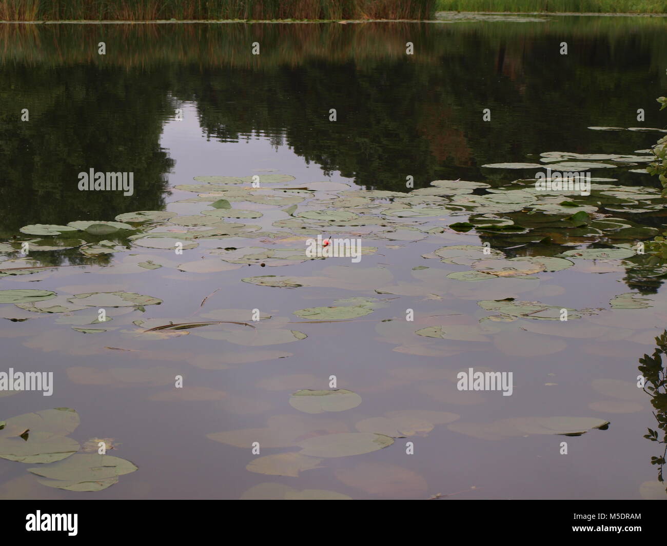 Mirrorlake hi-res stock photography and images - Alamy