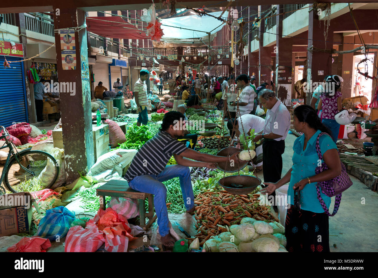 Sri Lanka, Matara, Asia, market, portrait Stock Photo - Alamy