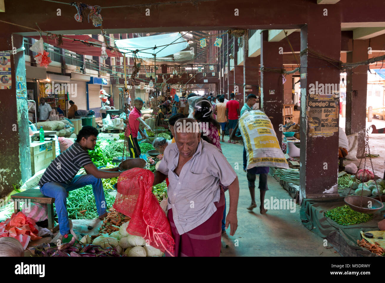 Sri Lanka, Matara, Asia, market, portrait Stock Photo - Alamy