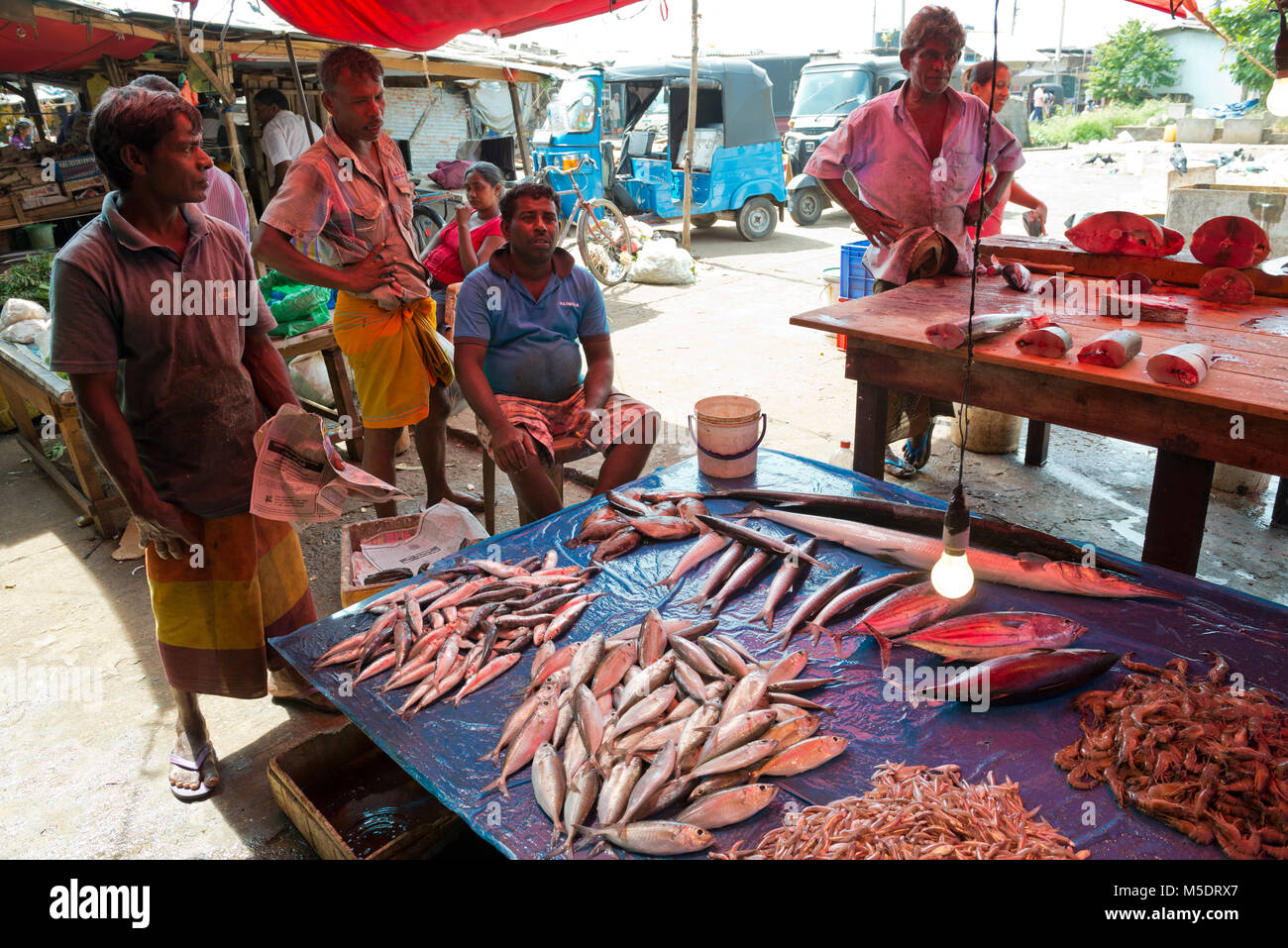 Sri Lanka, Matara, Asia, market, portrait Stock Photo - Alamy