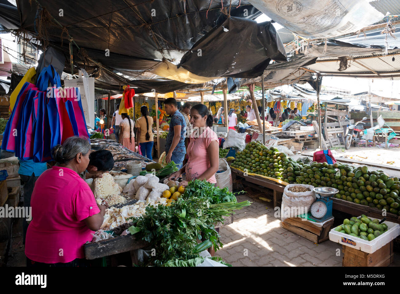 Sri Lanka, Matara, Asia, market, portrait Stock Photo - Alamy