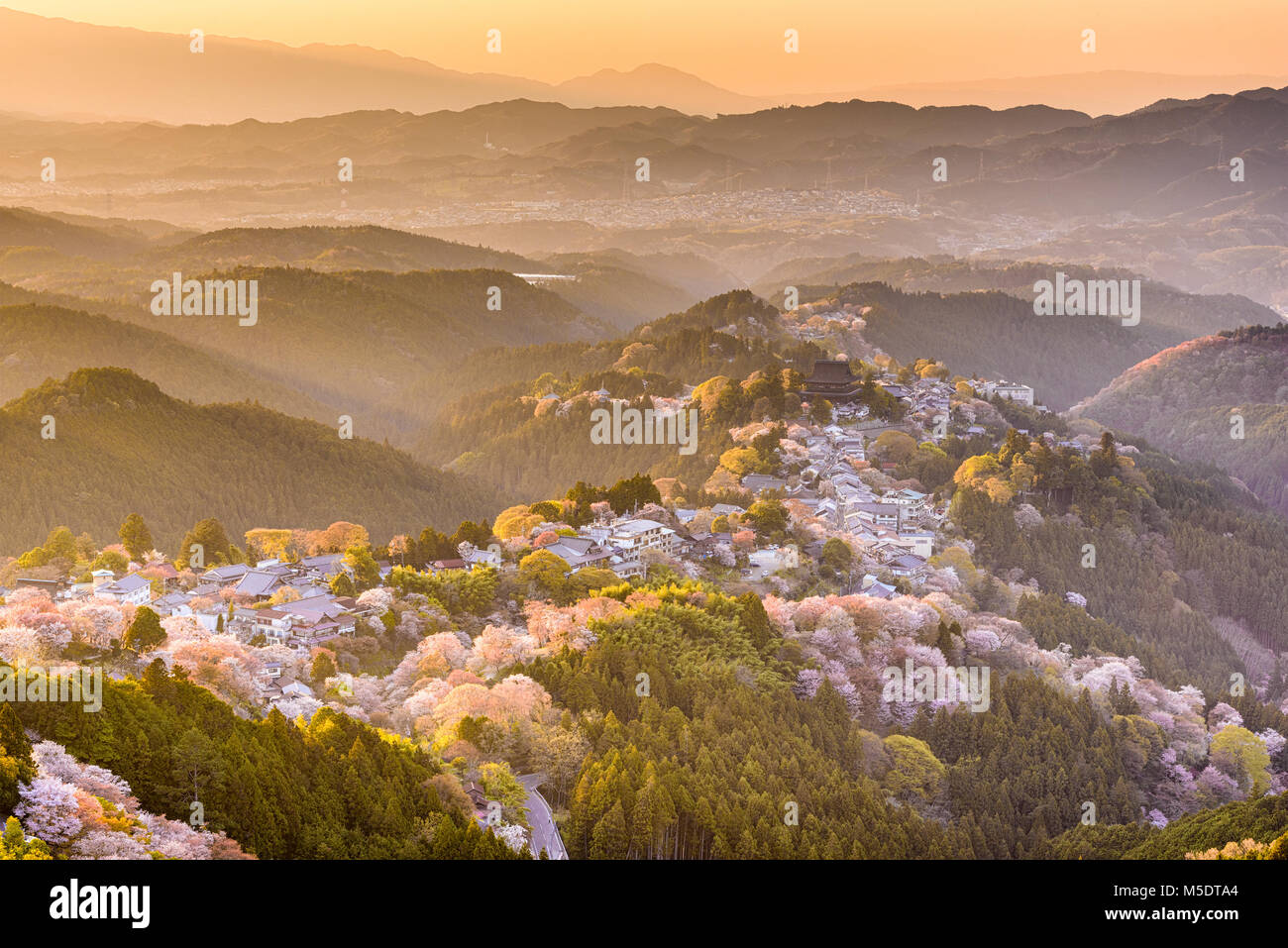 Yoshinoyama, Nara, Japan landscape in spring season Stock Photo - Alamy
