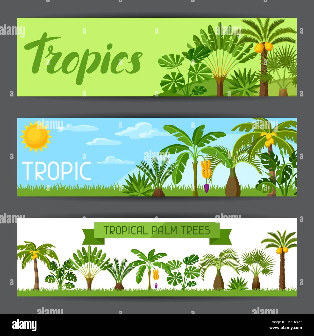 Banners with tropical palm trees. Exotic tropical plants Illustration ...