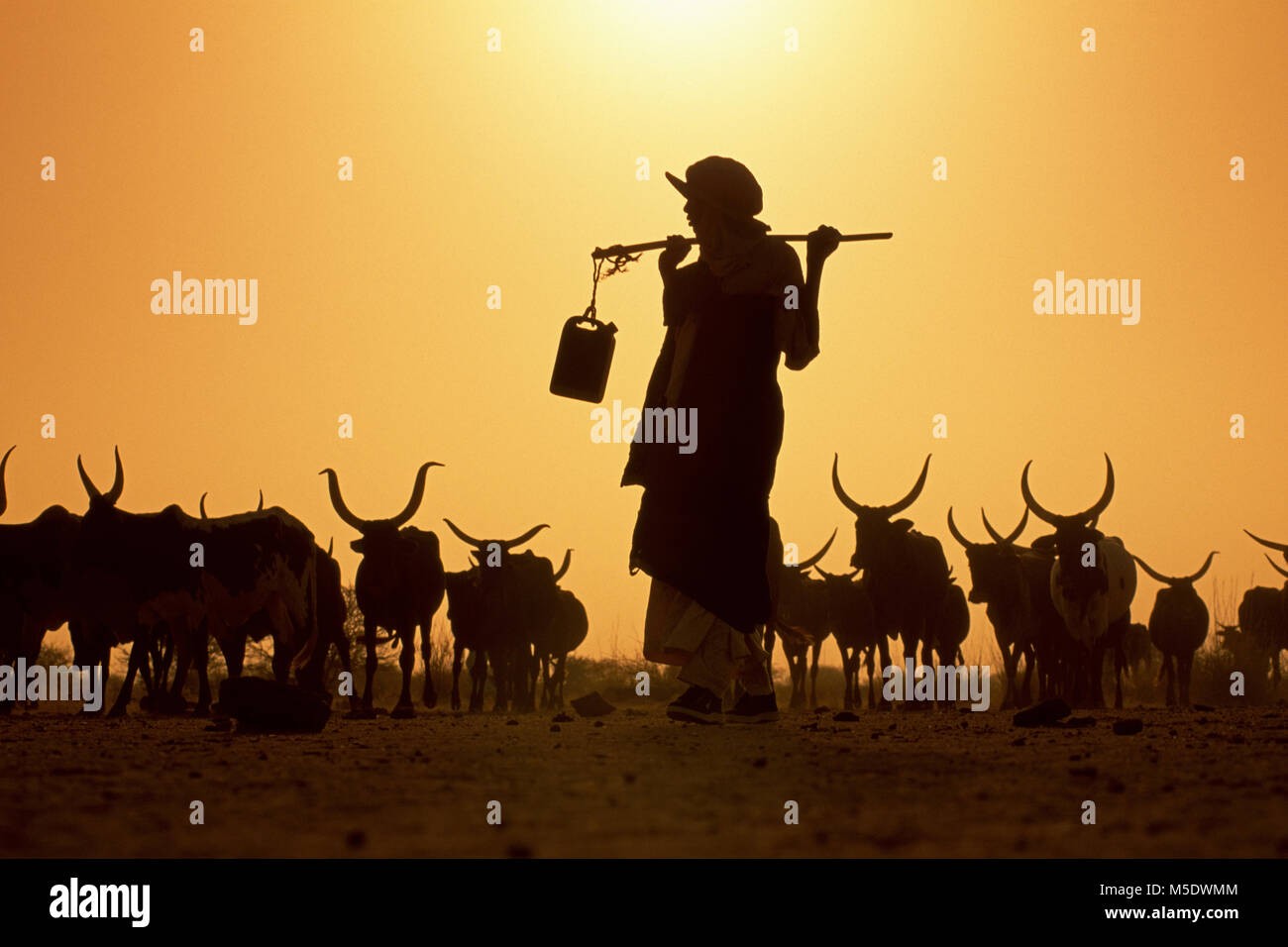 Fulani tribe hat hi-res stock photography and images - Alamy