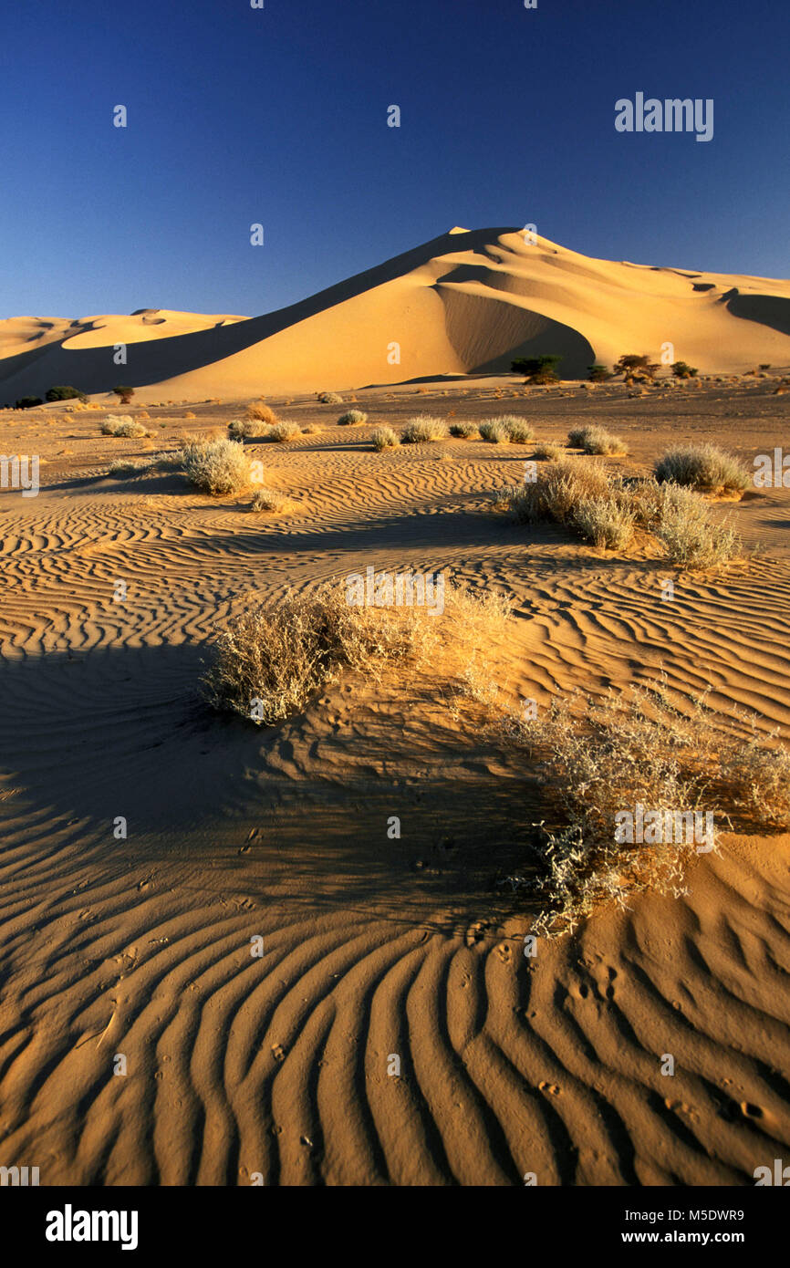 Niger. Agadez. Sahara desert. Sahel. Tenere desert. Sand dunes of Temet ...