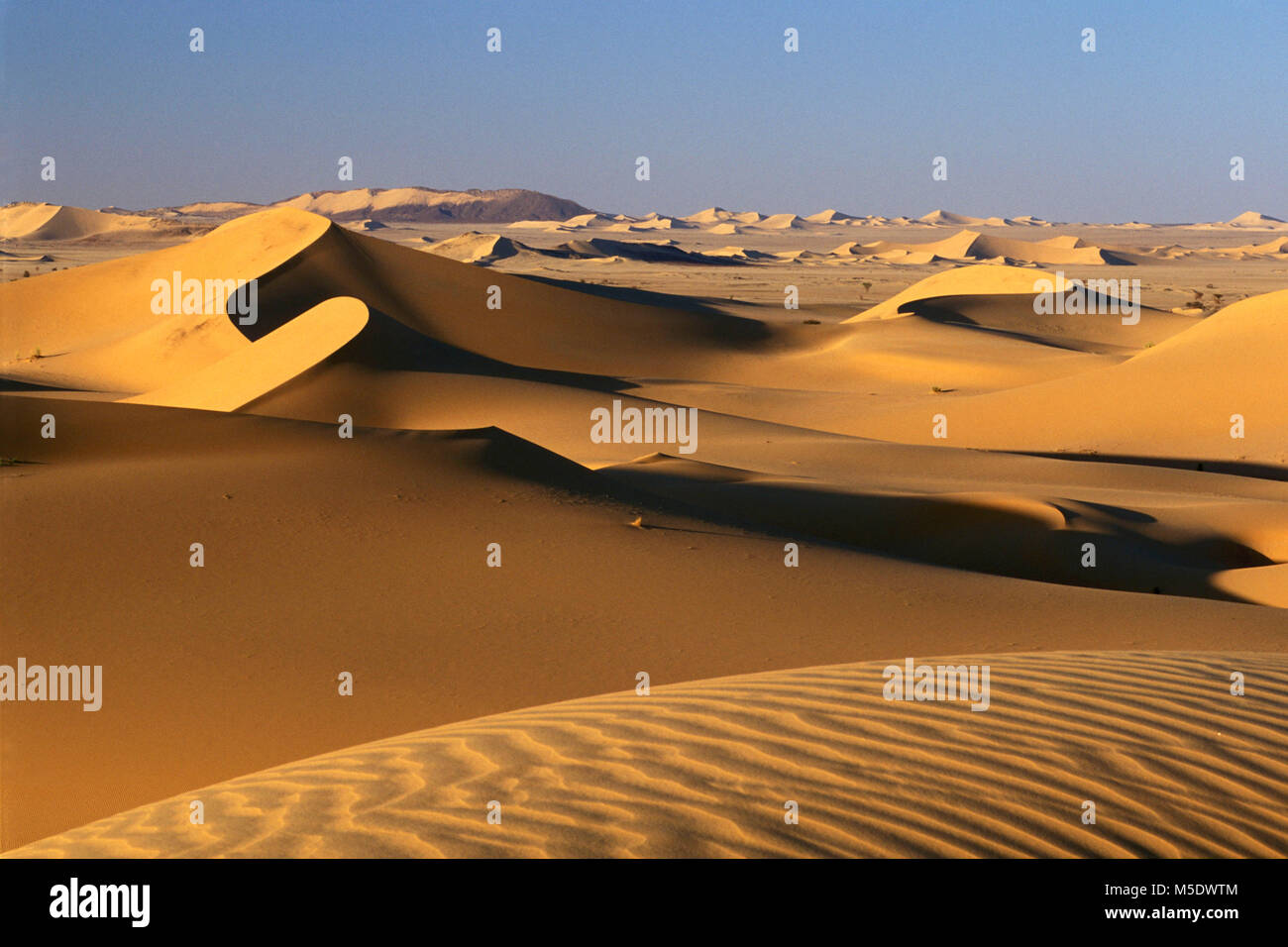 Air and ténéré natural reserves hi-res stock photography and images - Alamy