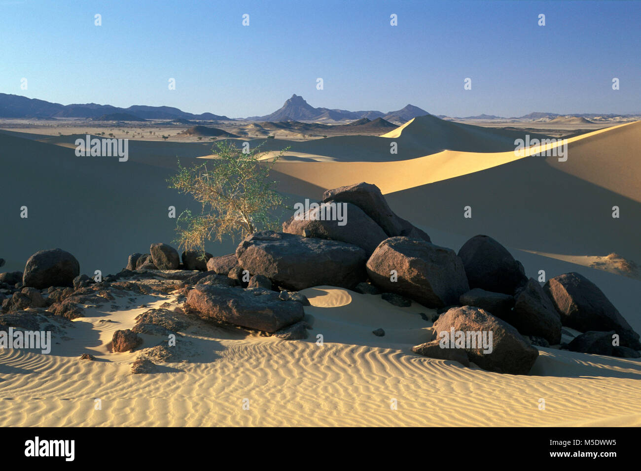 Air and ténéré natural reserves hi-res stock photography and images - Alamy