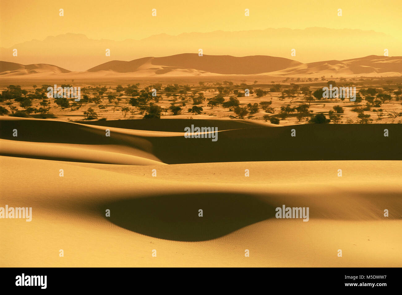 Air and ténéré natural reserves hi-res stock photography and images - Alamy