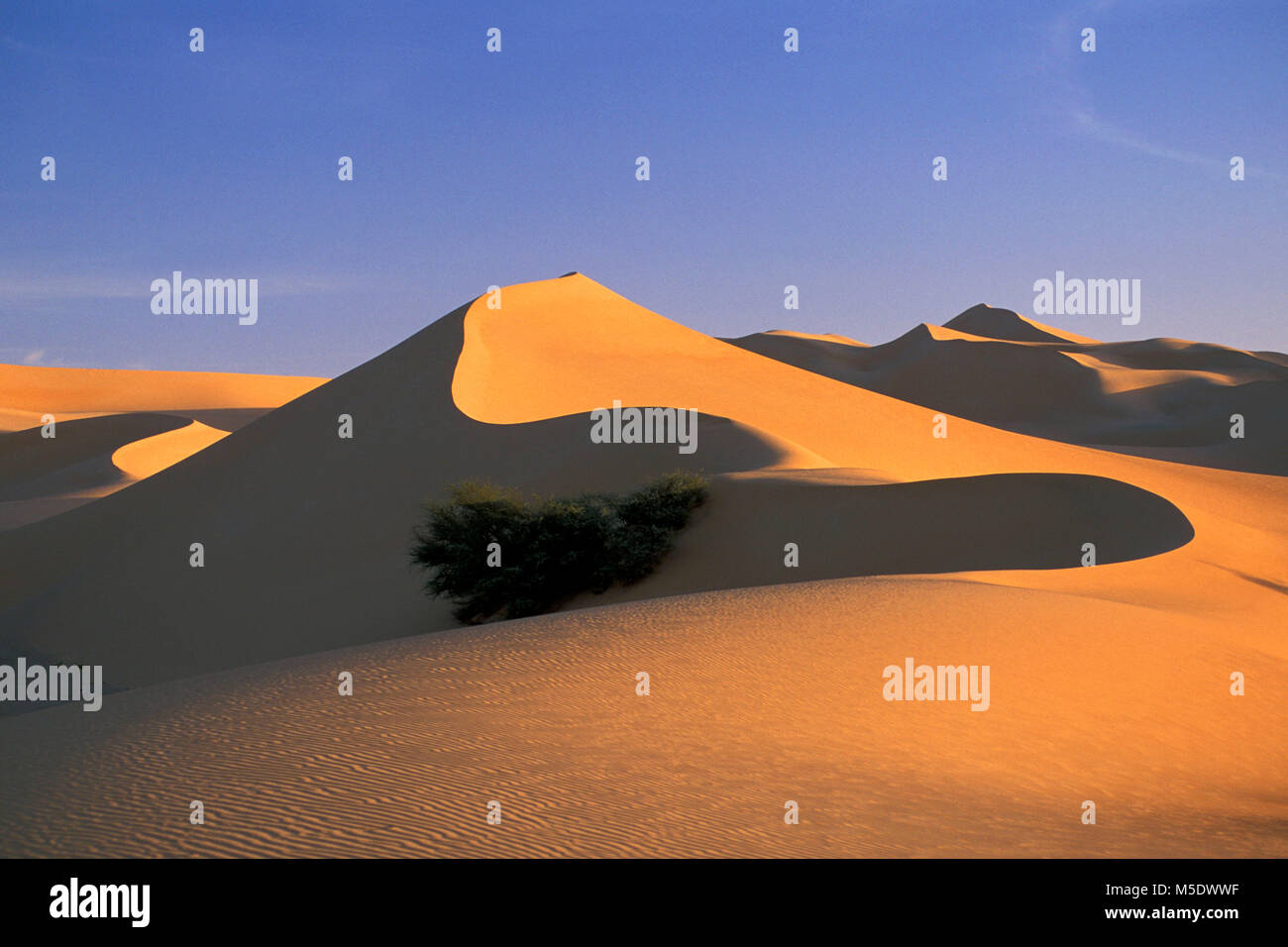 Air and ténéré natural reserves hi-res stock photography and images - Alamy