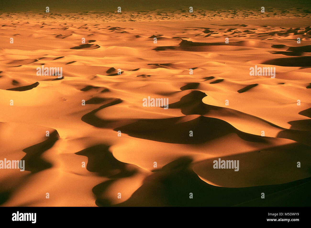 Frans lemmens niger hi-res stock photography and images - Alamy