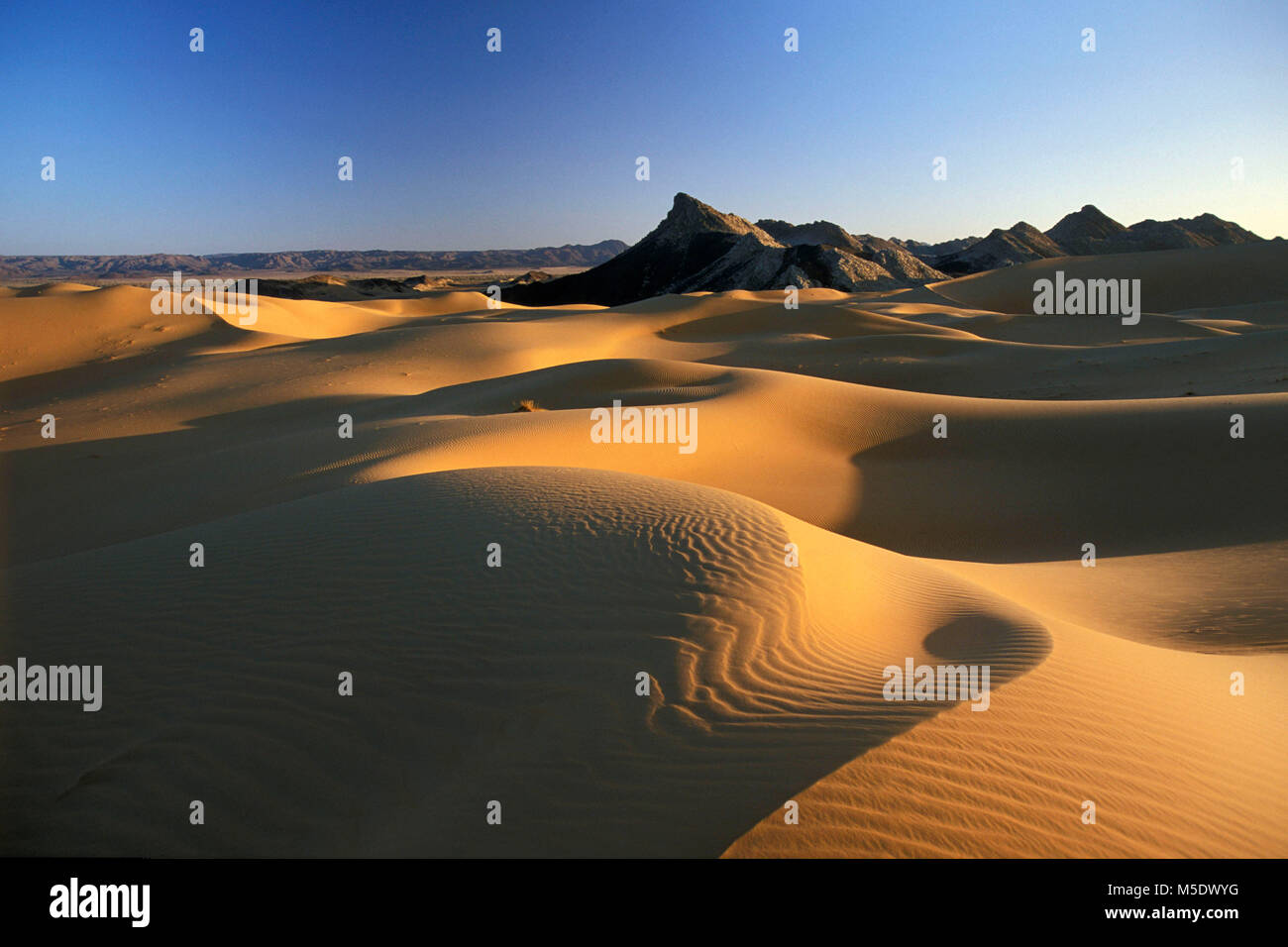 Niger. Agadez. Sahara desert. Sahel, Tenere desert. Sand dunes of ...