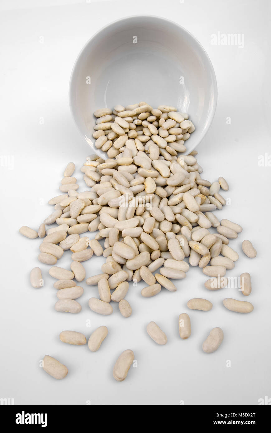 cannellini beans with white ceramic bowl Stock Photo - Alamy