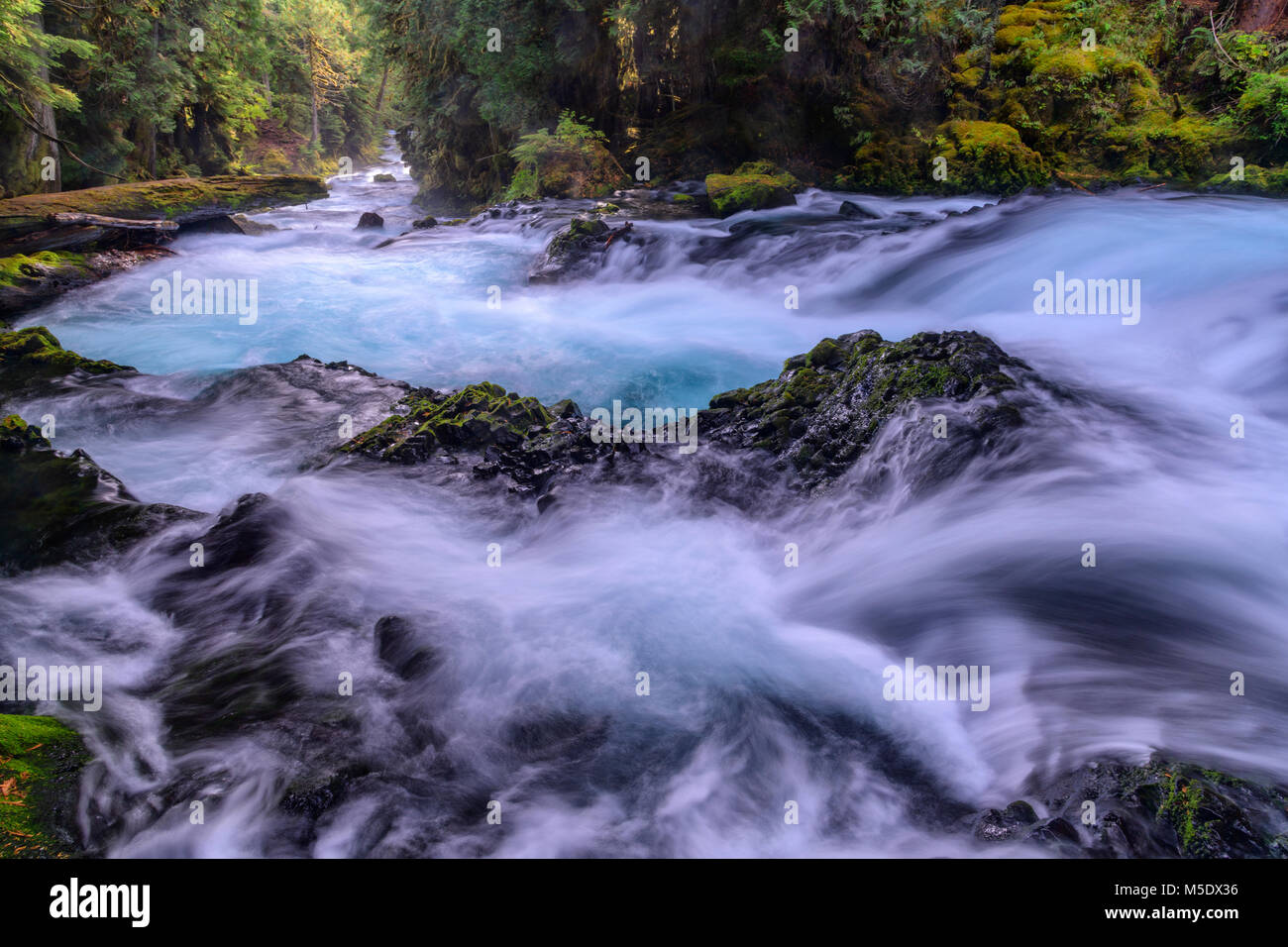 North America, USA, Oregon, Pacific Northwest, Central Oregon, McKenzie ...