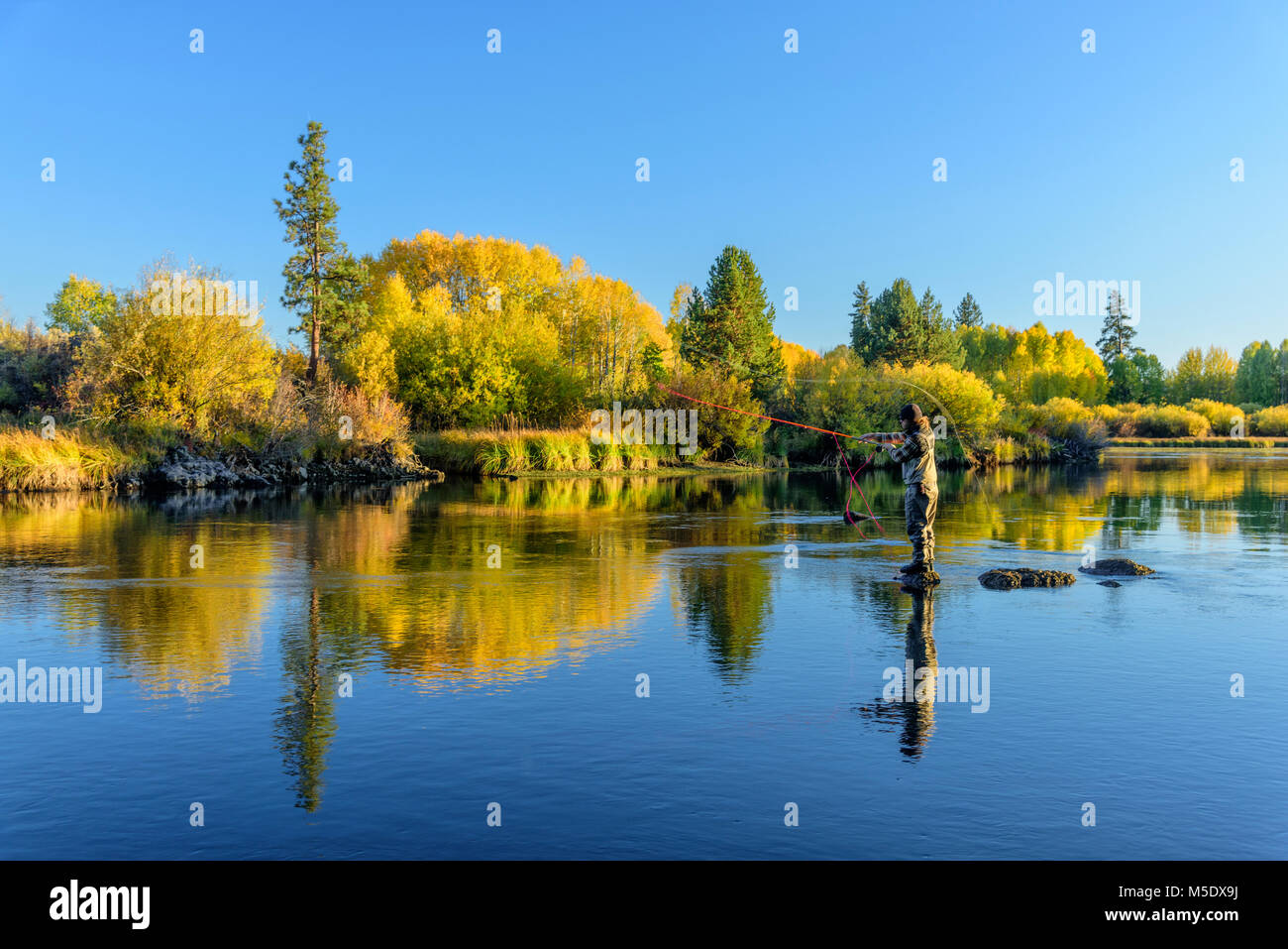 North America, USA, Central Oregon, Oregon, Deschutes river , fly ...