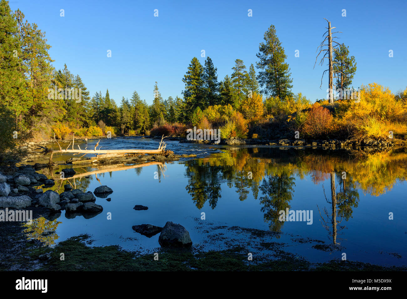 North America, USA, Central Oregon, Oregon, Deschutes river at Dillon ...