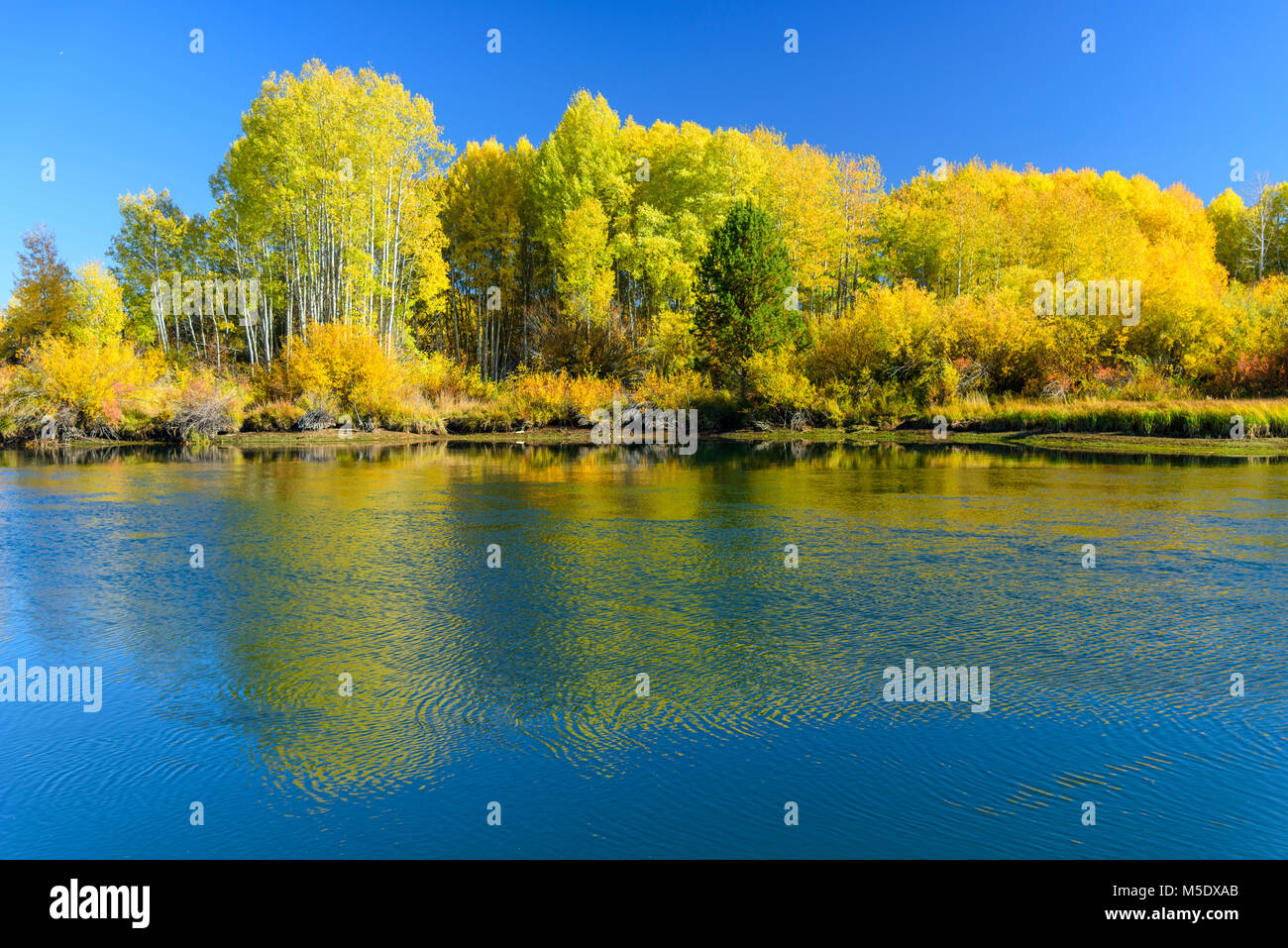 Dillon falls hi-res stock photography and images - Alamy