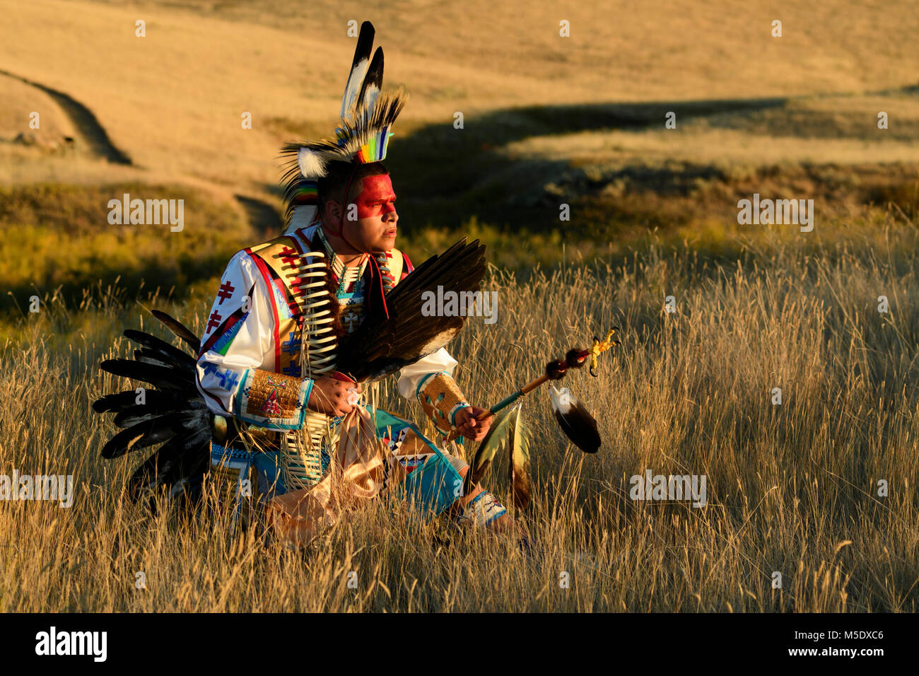 North America, USA, Great Plains, Montana, Bear Paw Battlefield, Nez ...