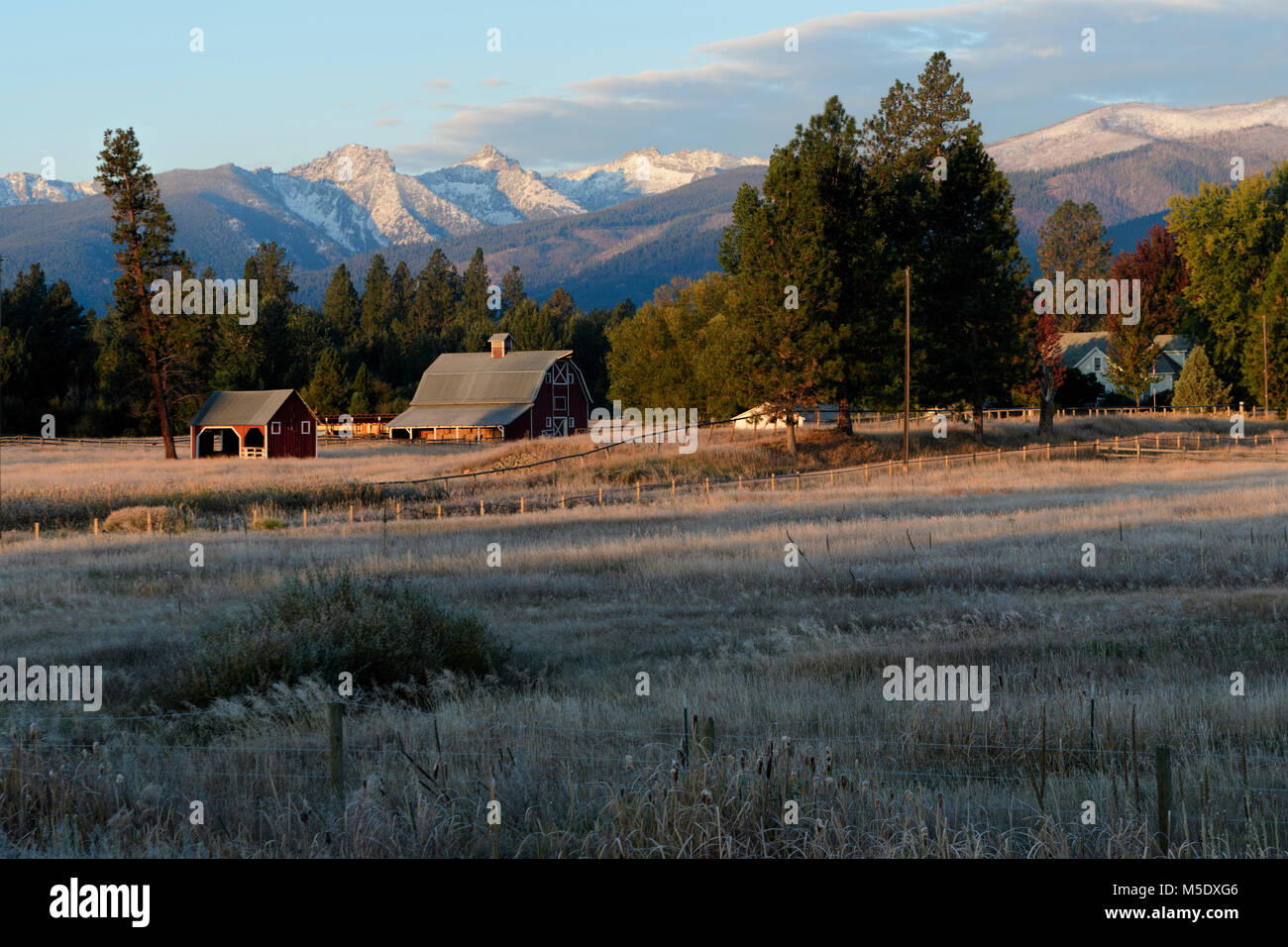 North America, USA, Rocky Mountains, Montana, Bitteroot Valley barn ...