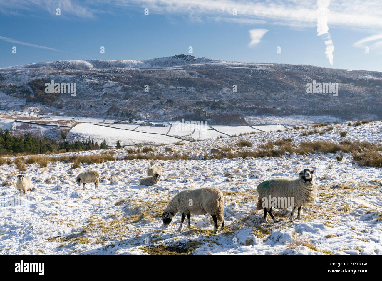 Simons Seat in Lower Wharfedale, The Yorkshire Dales, UK Stock Photo ...