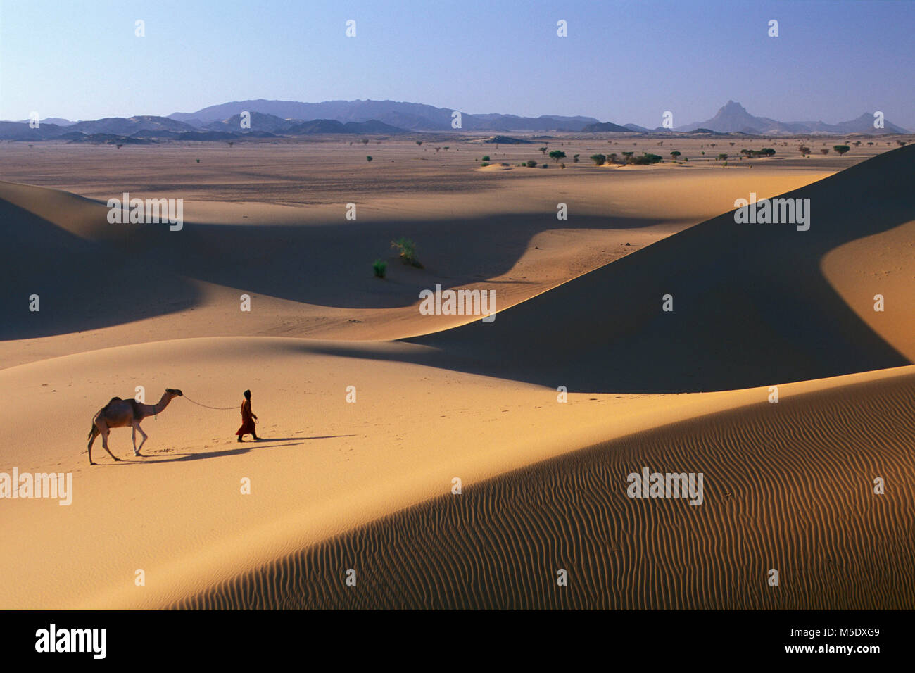 Air and ténéré natural reserves hi-res stock photography and images - Alamy