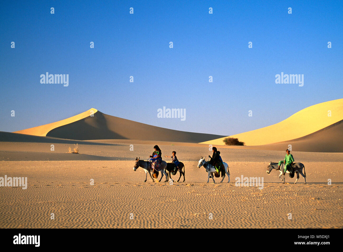 Niger. Agadez. Sahara desert. Sahel. Tenere desert. Tuareg tribe ...