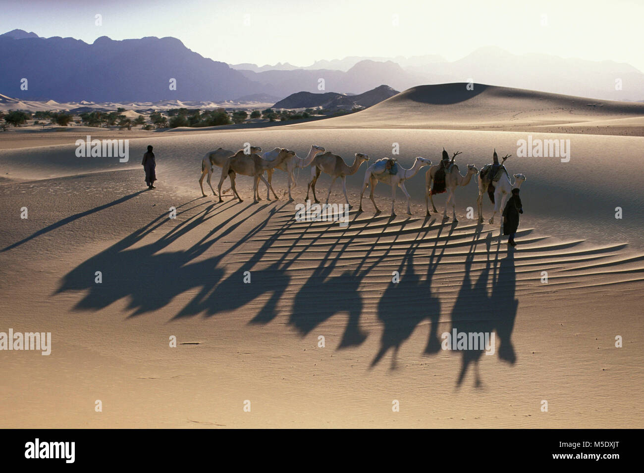 Aïr and ténéré natural reserves hi-res stock photography and images - Alamy