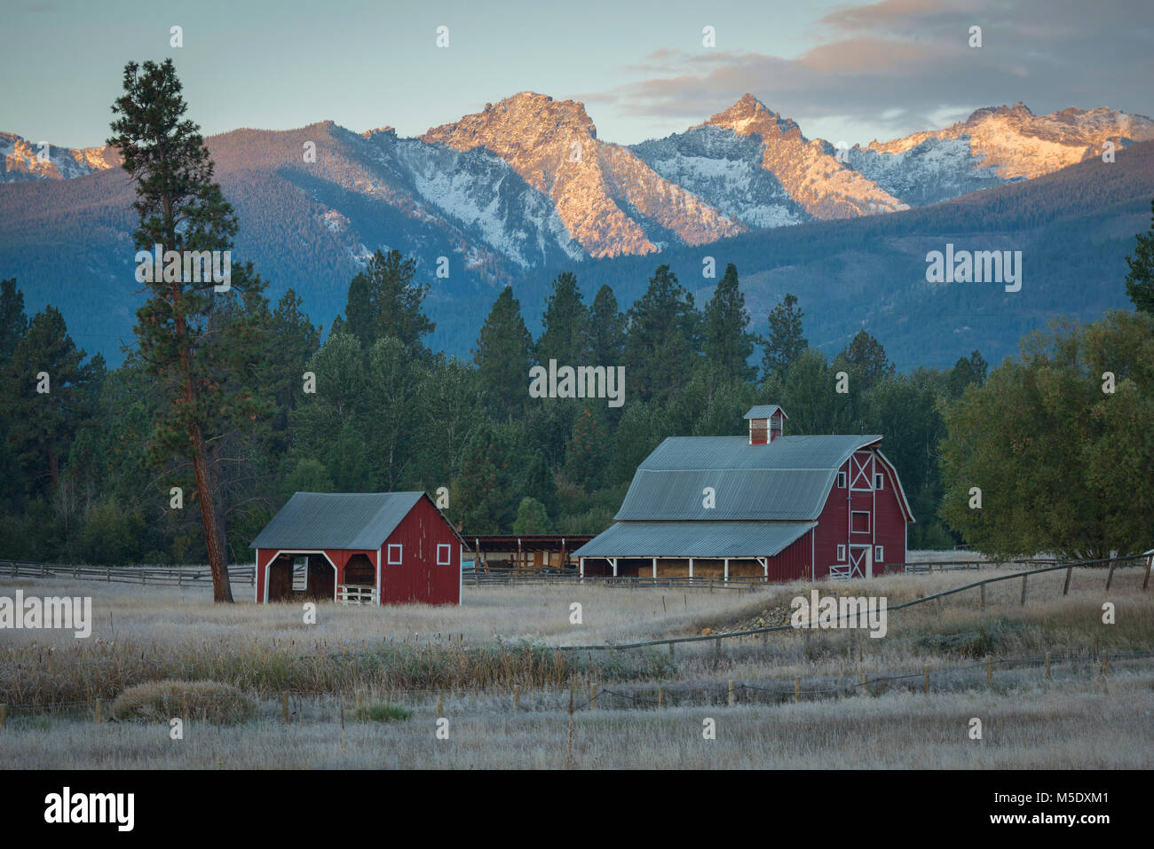 North America, Rockie Mountains, Montana, Bitteroot Valley, farm at ...