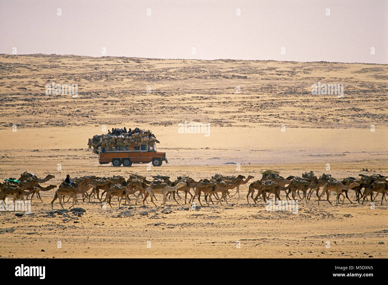 Niger. Agadez. Sahara desert. Sahel. Tenere desert. Tuareg tribe ...