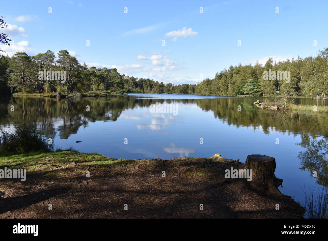 High Dam in Cumbria Stock Photo - Alamy