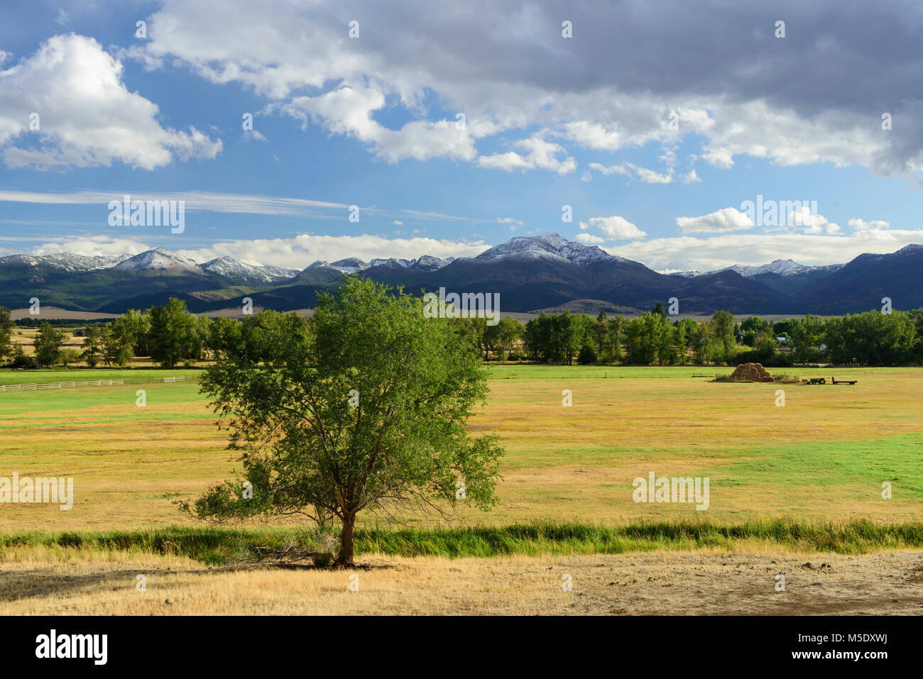 Strawberry mountains hi-res stock photography and images - Alamy