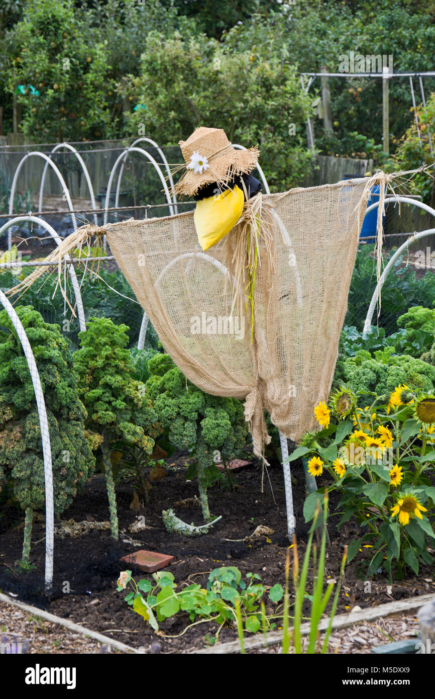 Scarecrow On An Allotment High Resolution Stock Photography and Images ...
