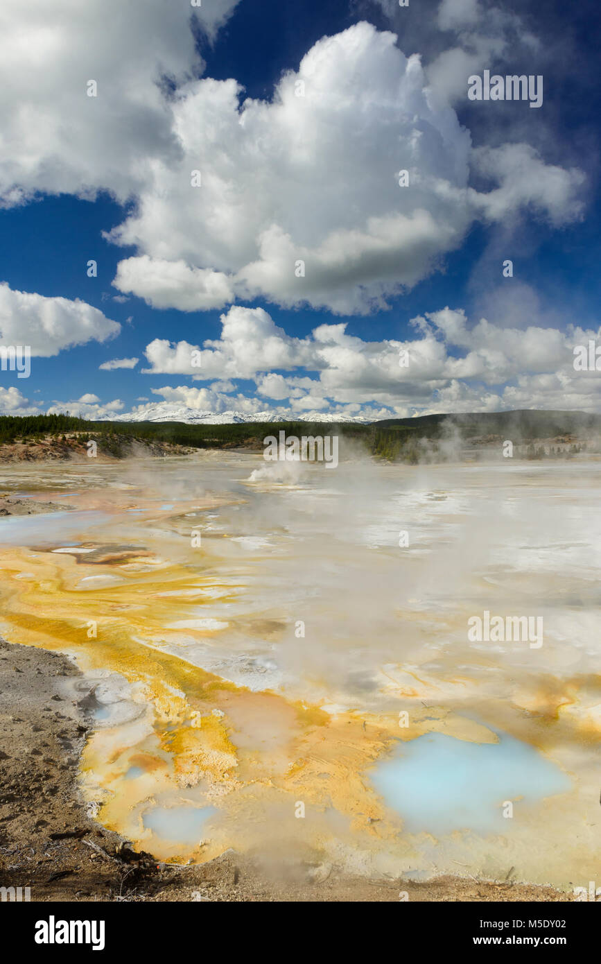 North America, USA, Rockie Mountains, Rockies, Montana, Yellowstone ...