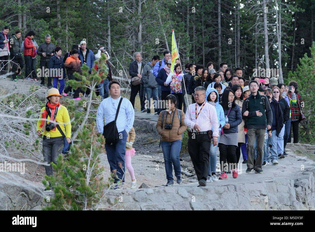 Yellowstone tourists mountains hi-res stock photography and images - Alamy