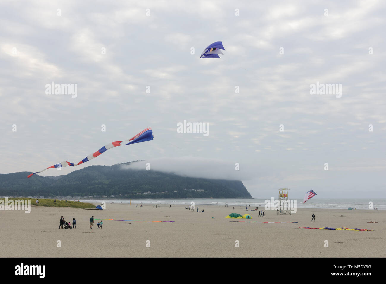 North America, USA, Pacific Northwest, Oregon Coast, Oregon, Seaside ...