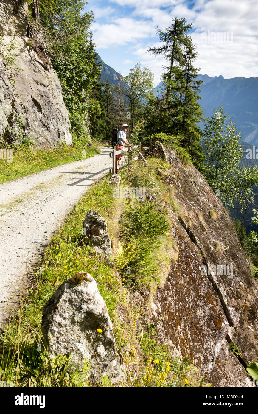 The Alps, walk, footpath, trees, green, blue, mountains, mountain Stock ...