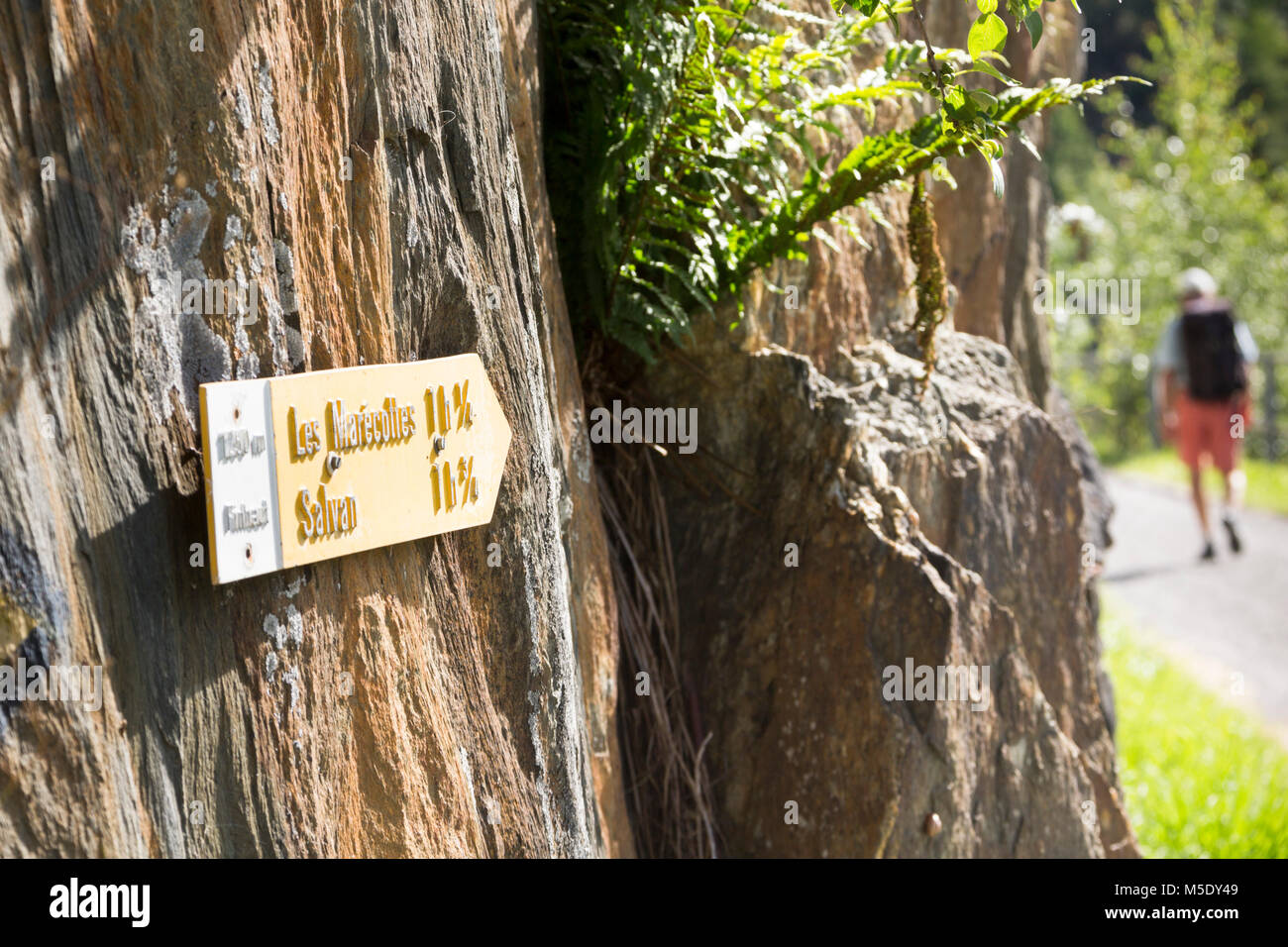 Signposts, Hiking, walk, Yellow, footpath Stock Photo - Alamy